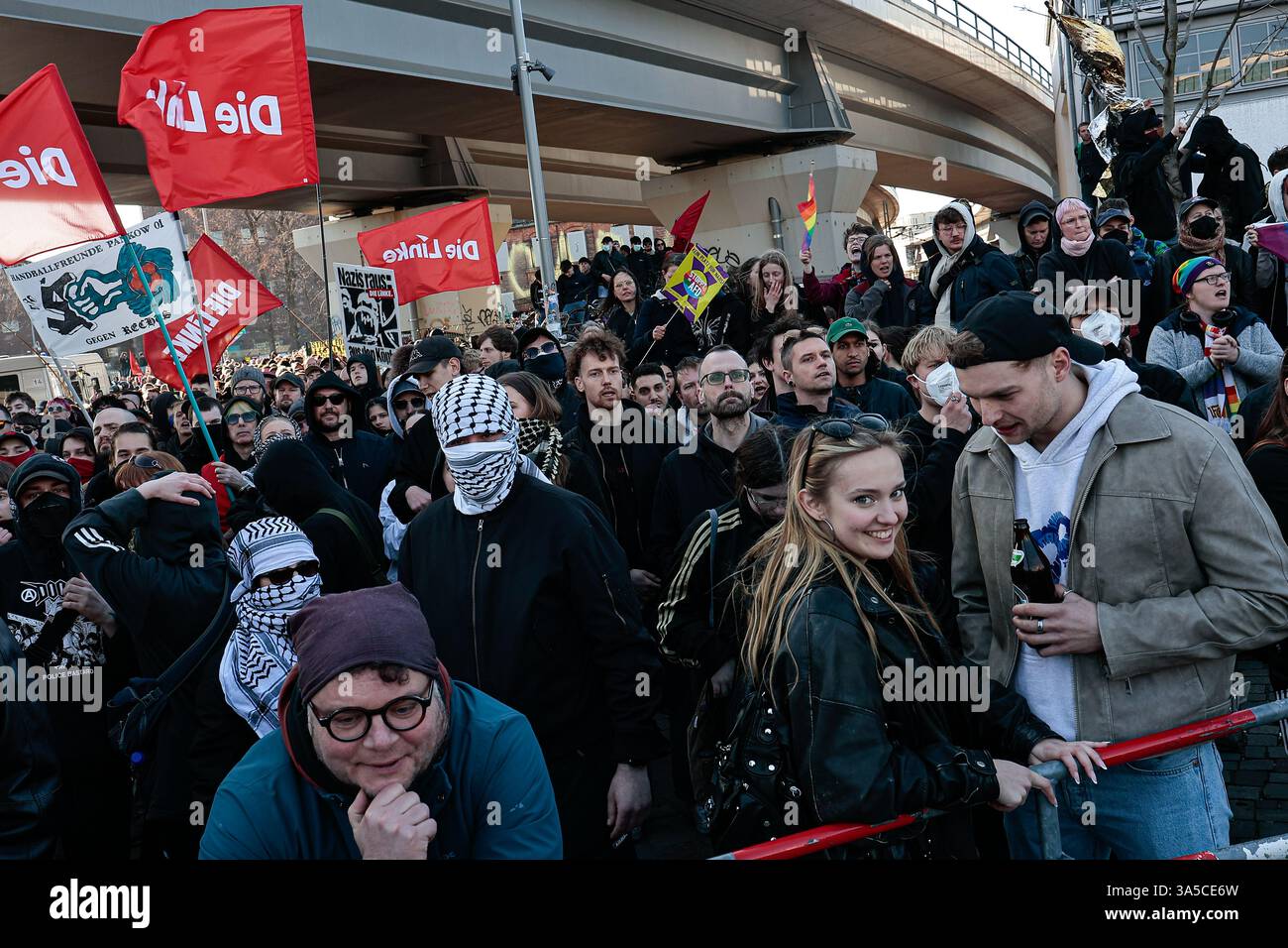 Left-wing activists hold Die Linke party flags in the center of Berlin ...