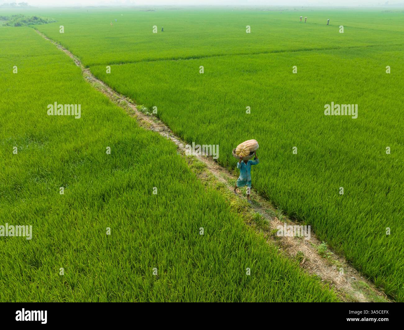 An aerial view of Arial Beel in Srinagar, Munshiganj, Bangladesh, shows ...