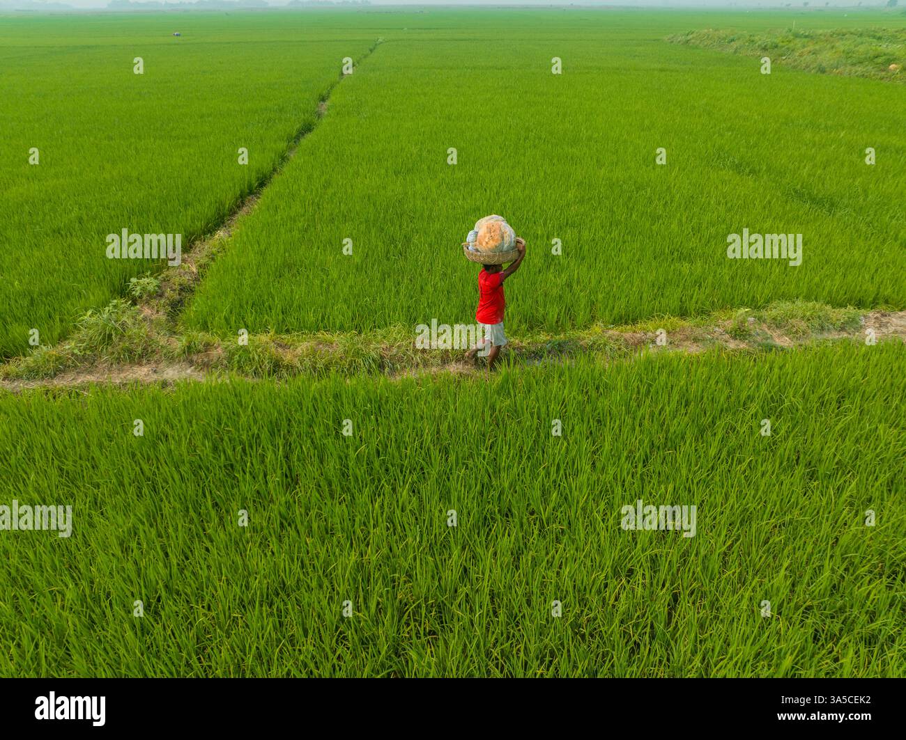 An aerial view of Arial Beel in Srinagar, Munshiganj, Bangladesh, shows ...