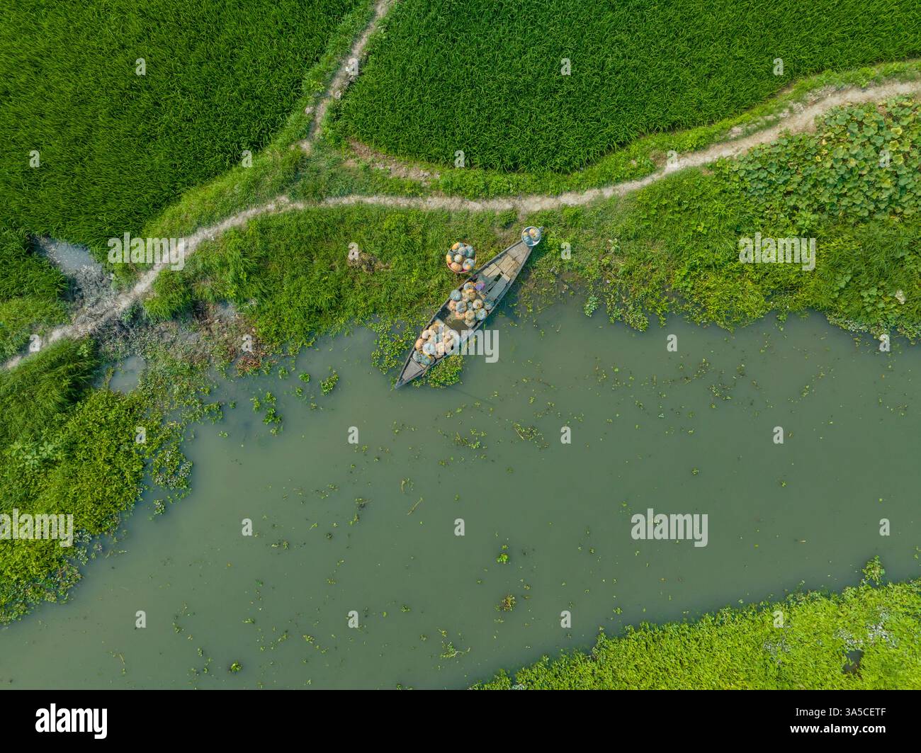An aerial view of Arial Beel in Srinagar, Munshiganj, Bangladesh, shows ...