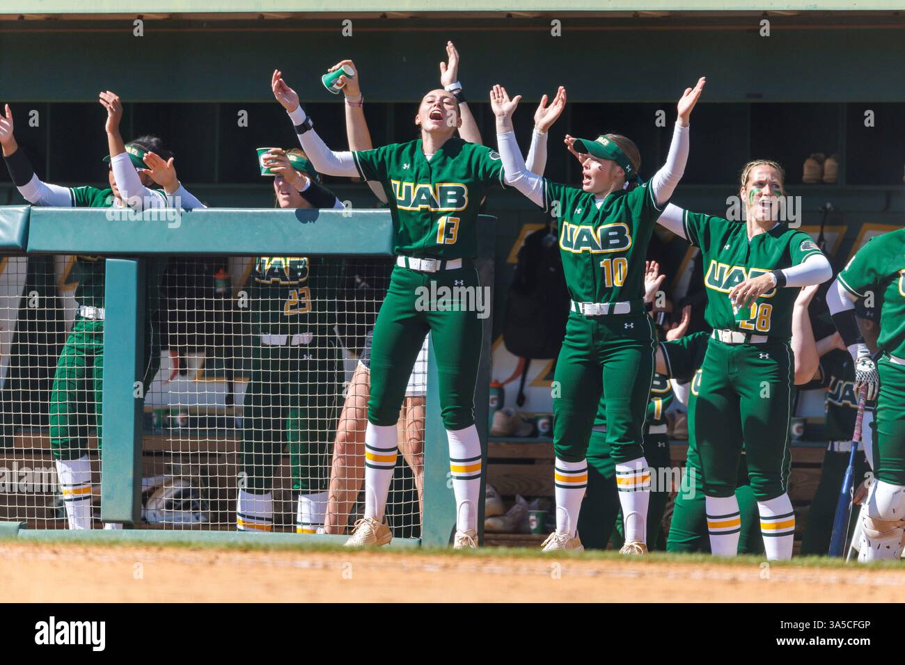 UAB's dugout celebrates a hit during an NCAA softball game against ...