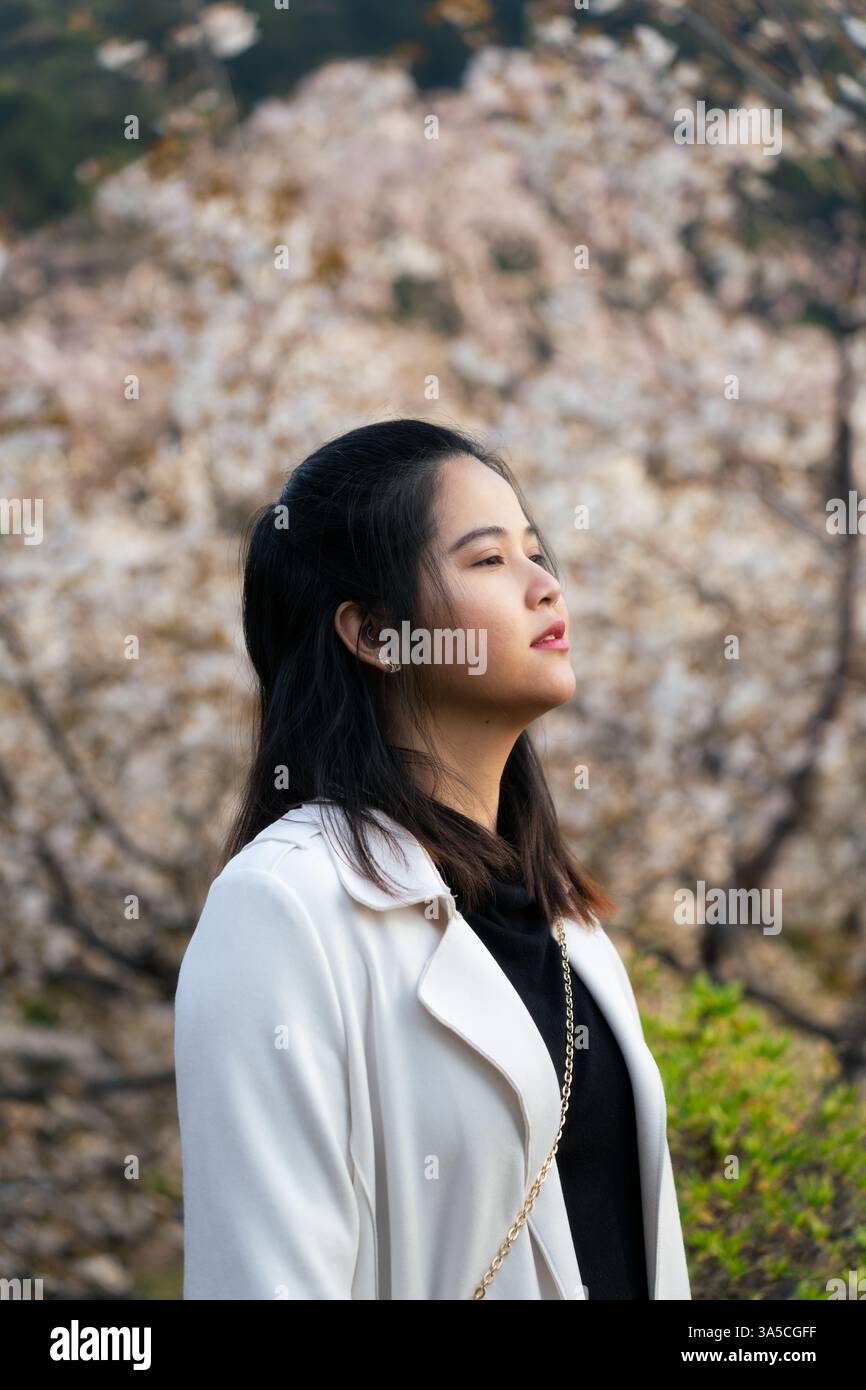 Romantic Moment Under Cherry Blossoms – A Couple Embracing Love Amidst Japan’s Stunning Sakura ...