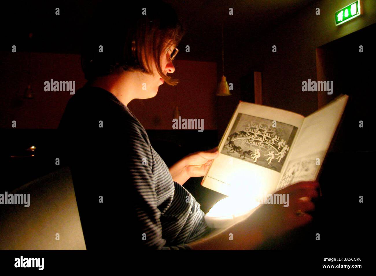 reading books or texts and literature for studying, learning or ...