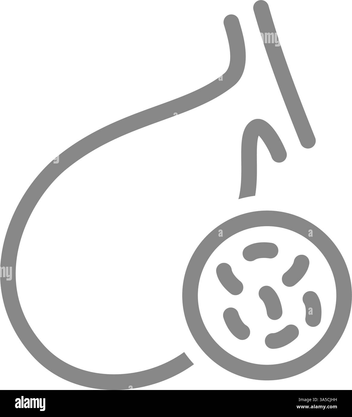 Gallbladder with bacteria line icon. Disease internal organ ...
