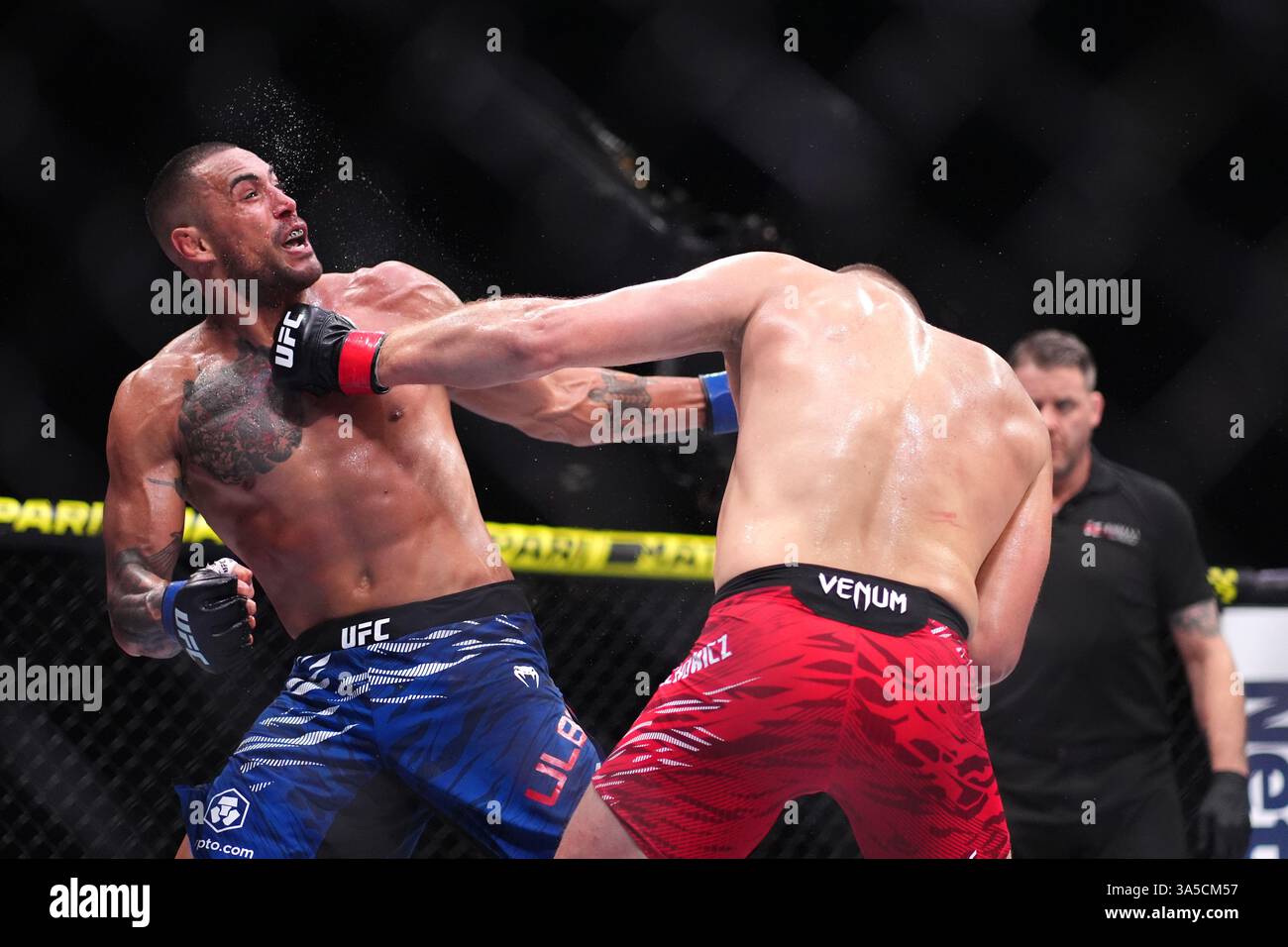 Jan Blachowicz (right) in action against Carlos Ulberg in the light ...