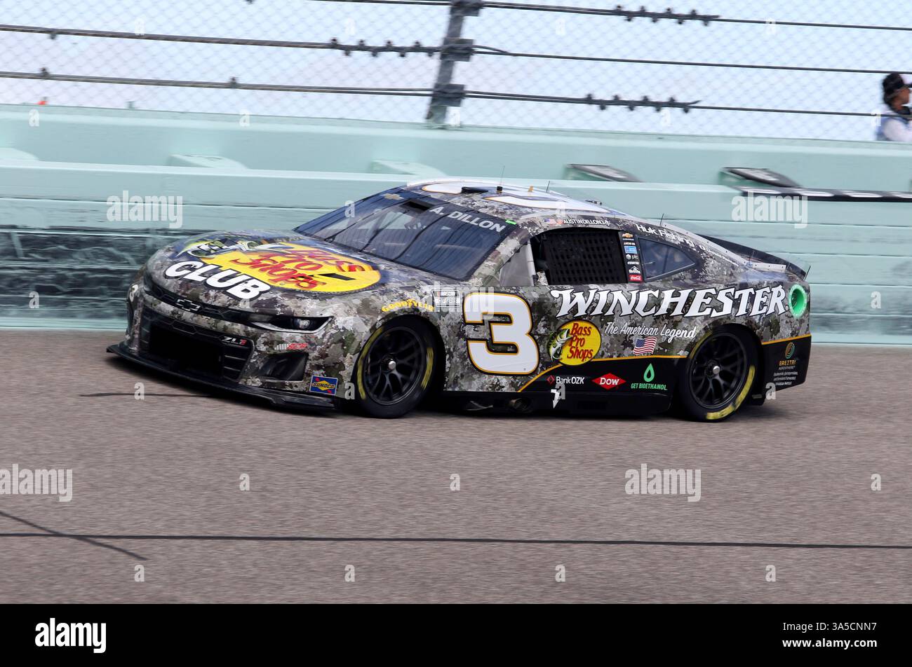 HOMESTEAD, FL - MARCH 22: Austin Dillon (#3 Richard Childress Racing ...