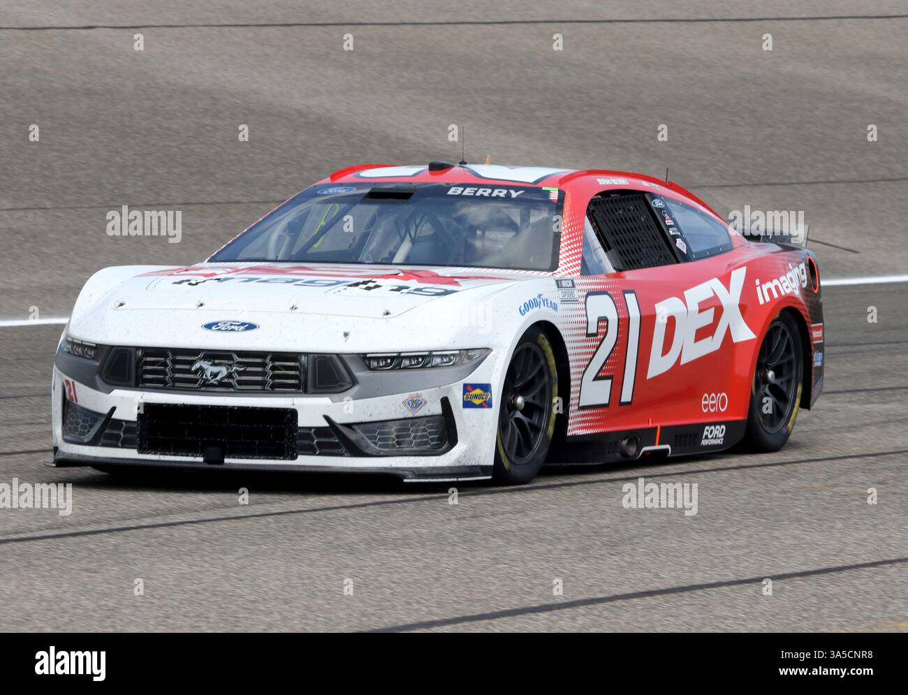 HOMESTEAD, FL - MARCH 22: Josh Berry (#21 Wood Brothers Racing DEX ...