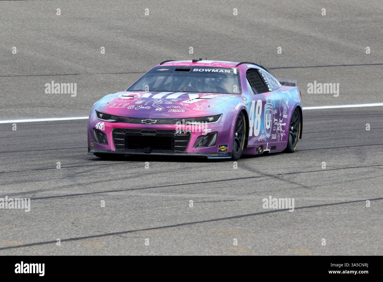 HOMESTEAD, FL - MARCH 22: Alex Bowman (#48 Hendrick Motorsports Ally ...