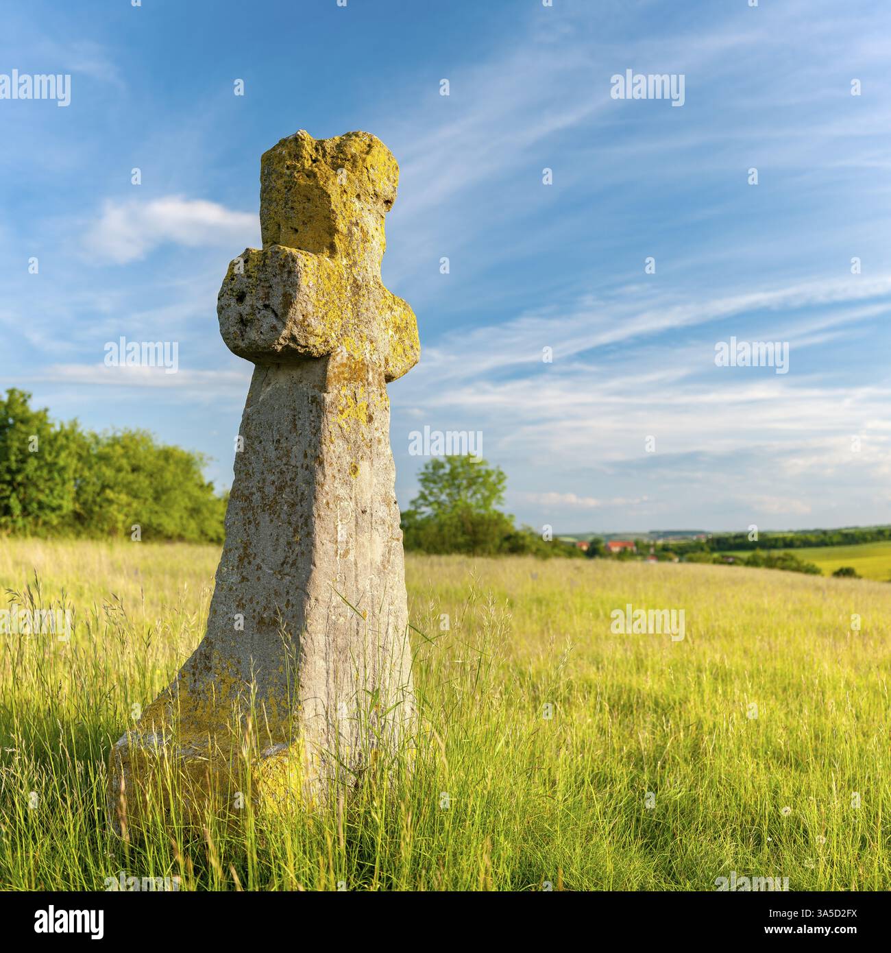 Medieval stone cross, murder cross, atonement cross, Freyburg (Unstrut ...
