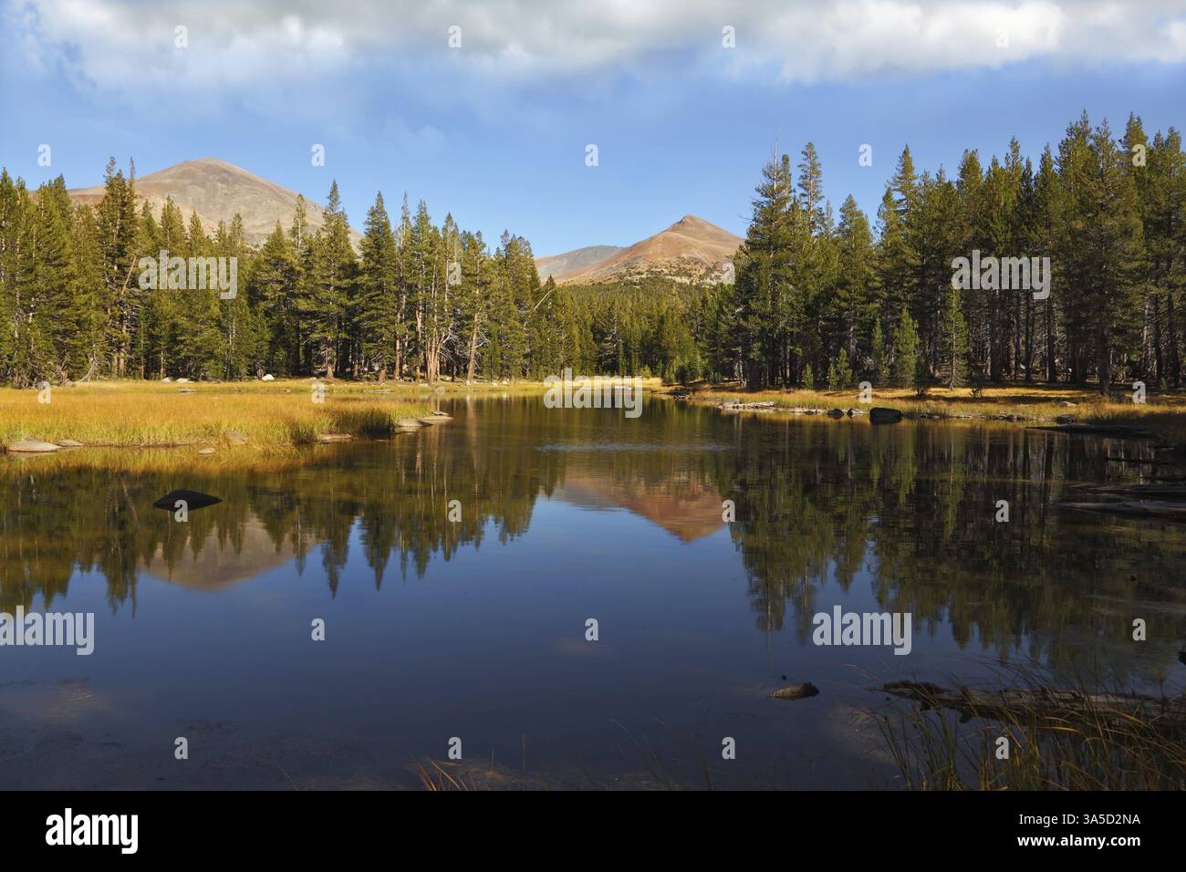 Charming shallow lake. Mountains and forest are reflected in smooth ...