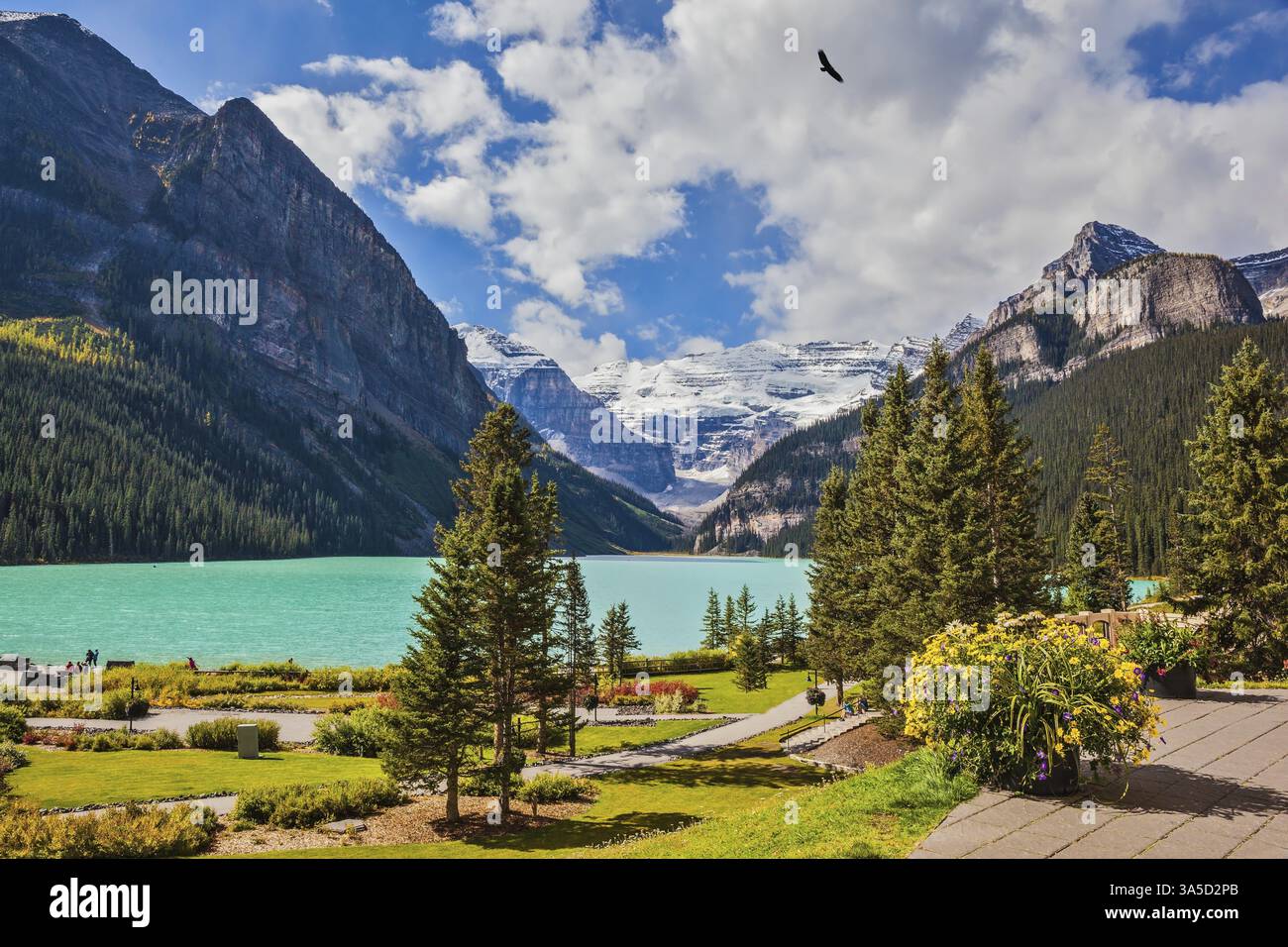 Flowers on the mountain glacial lake Louise. Beautiful sunny day in ...