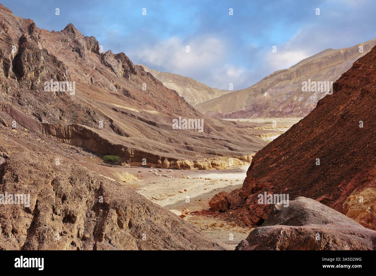 Multi-colored mountains of Eilat, Israel. Warm day in January. The road ...