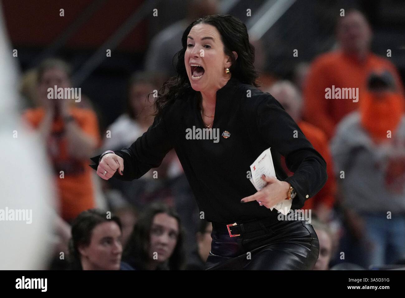 Illinois head coach Shauna Green reacts to a call during the second ...