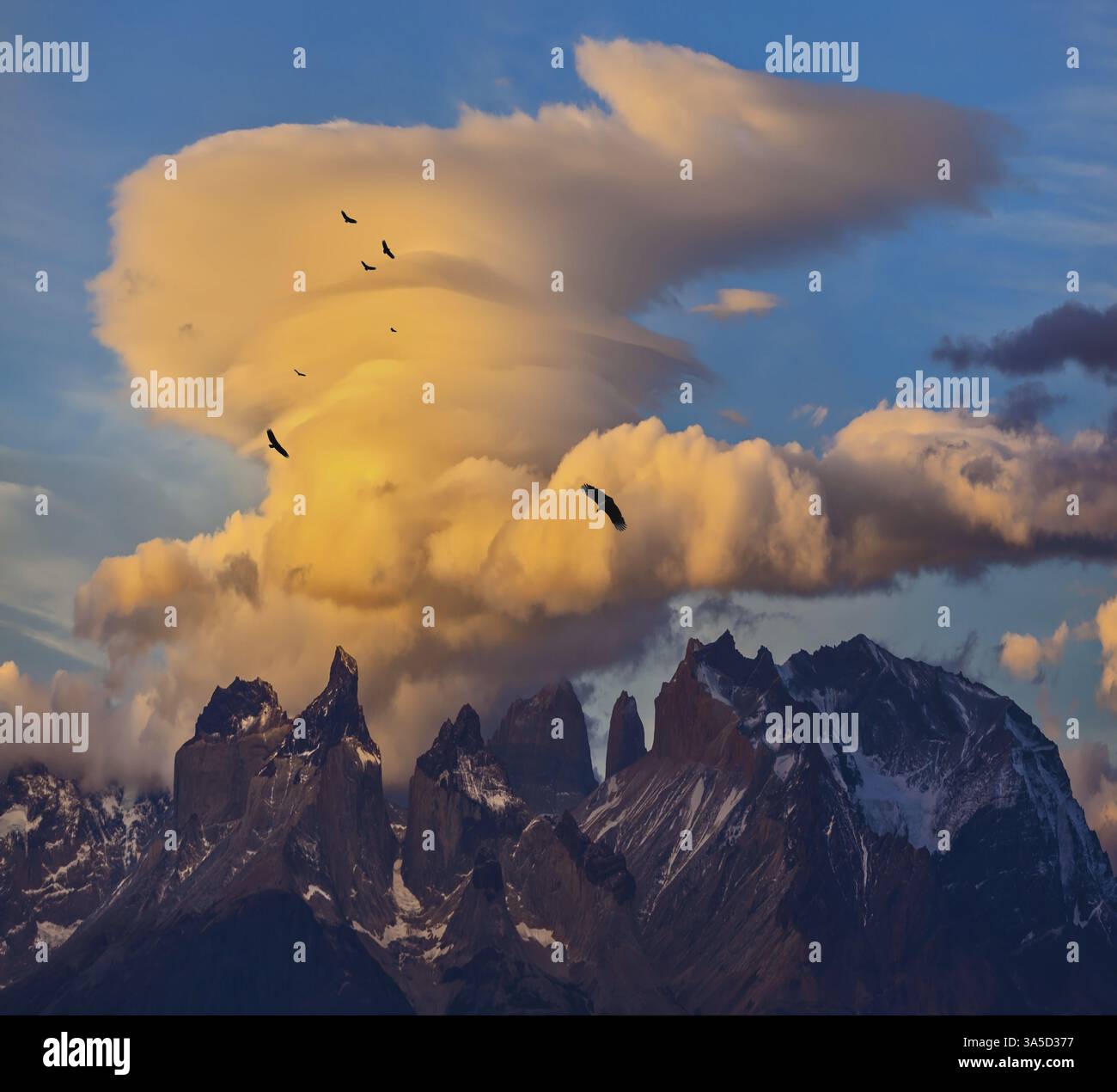 Incredible sunset in the national park Torres del Paine, Chile. Sharp ...