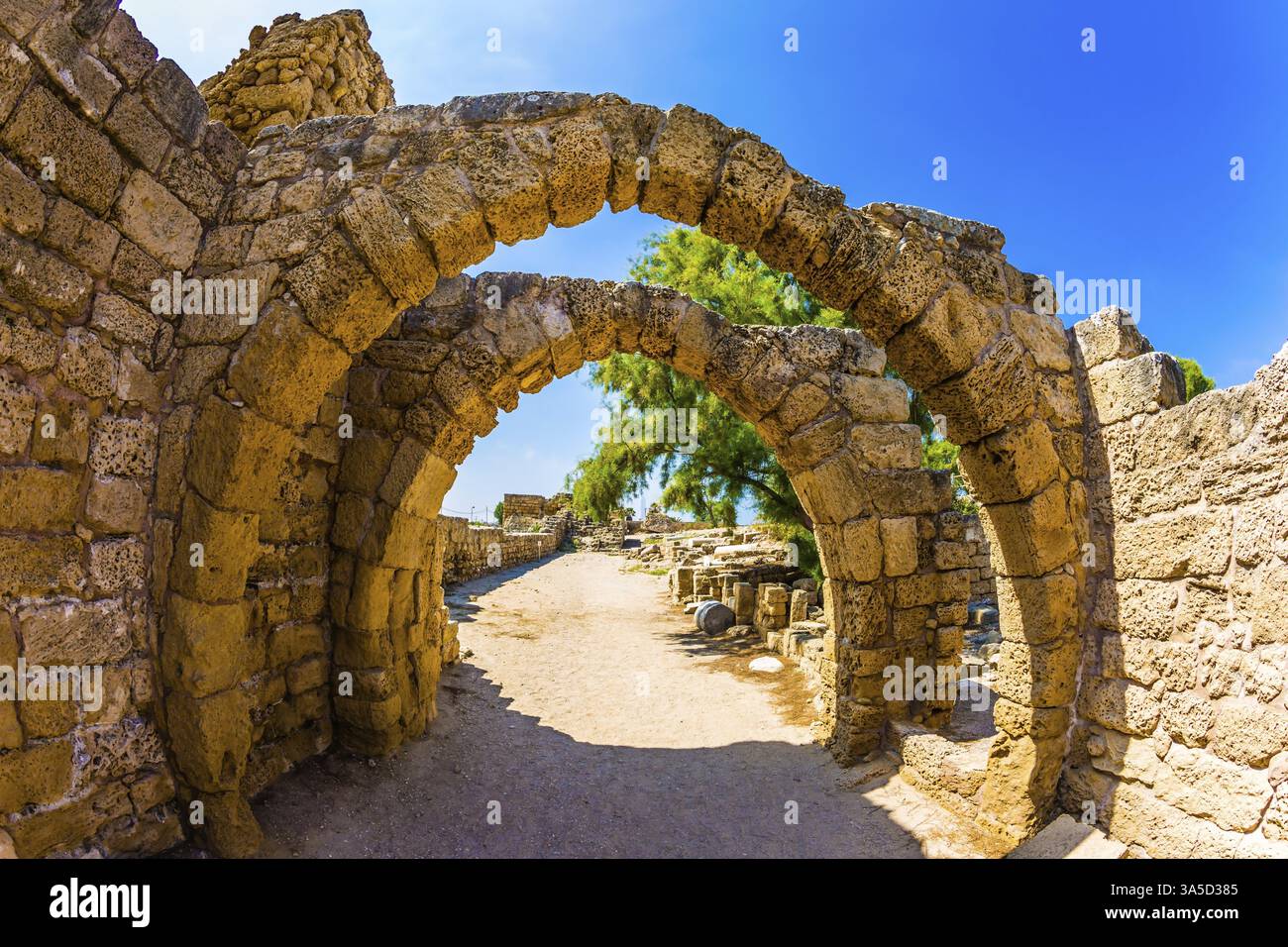 Excursion to the Archaeological Park of the Roman Empire in ancient ...