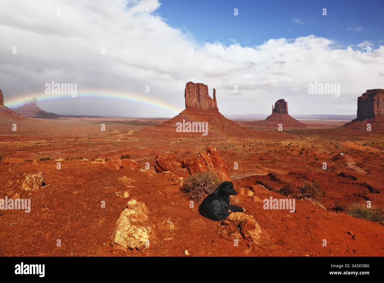 Navajo Reservation in the US. Red Desert and rocks - mitts sandstone ...