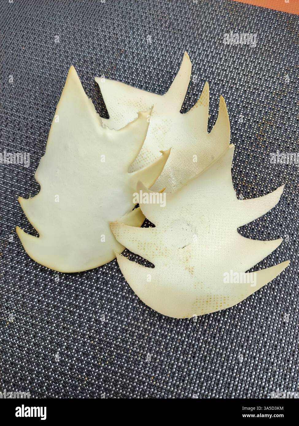 Unique bakery cutouts crafted from dough, showcasing artistic shapes ...