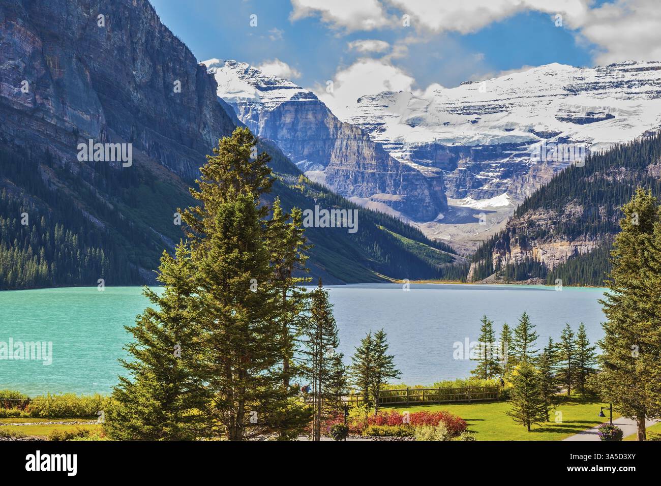 Flowers on the mountain glacial lake Louise. Beautiful sunny day in ...