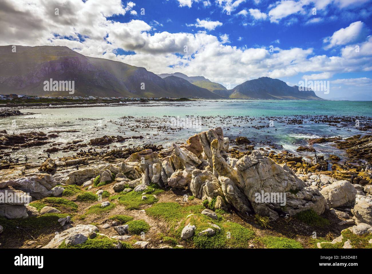 Azure water boulders algae hi-res stock photography and images - Alamy