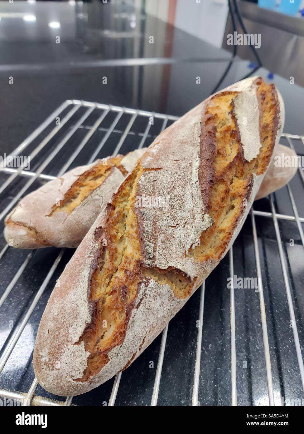 Two golden-brown rustic bread loaves are cooling on a wire rack in a ...