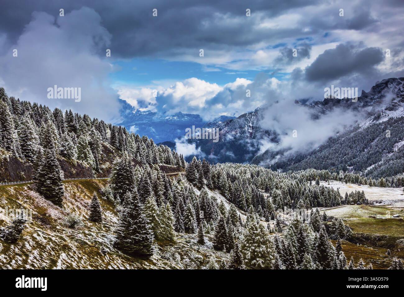 Heavy rain clouds flying over mountains. Evergreen forests in the ...