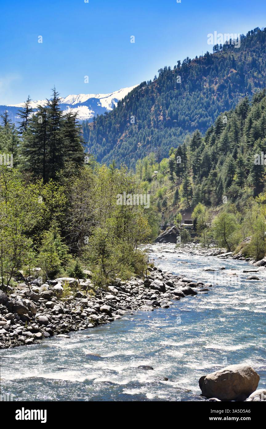 Crystal-clear water flows through lush greenery under a bright blue sky ...