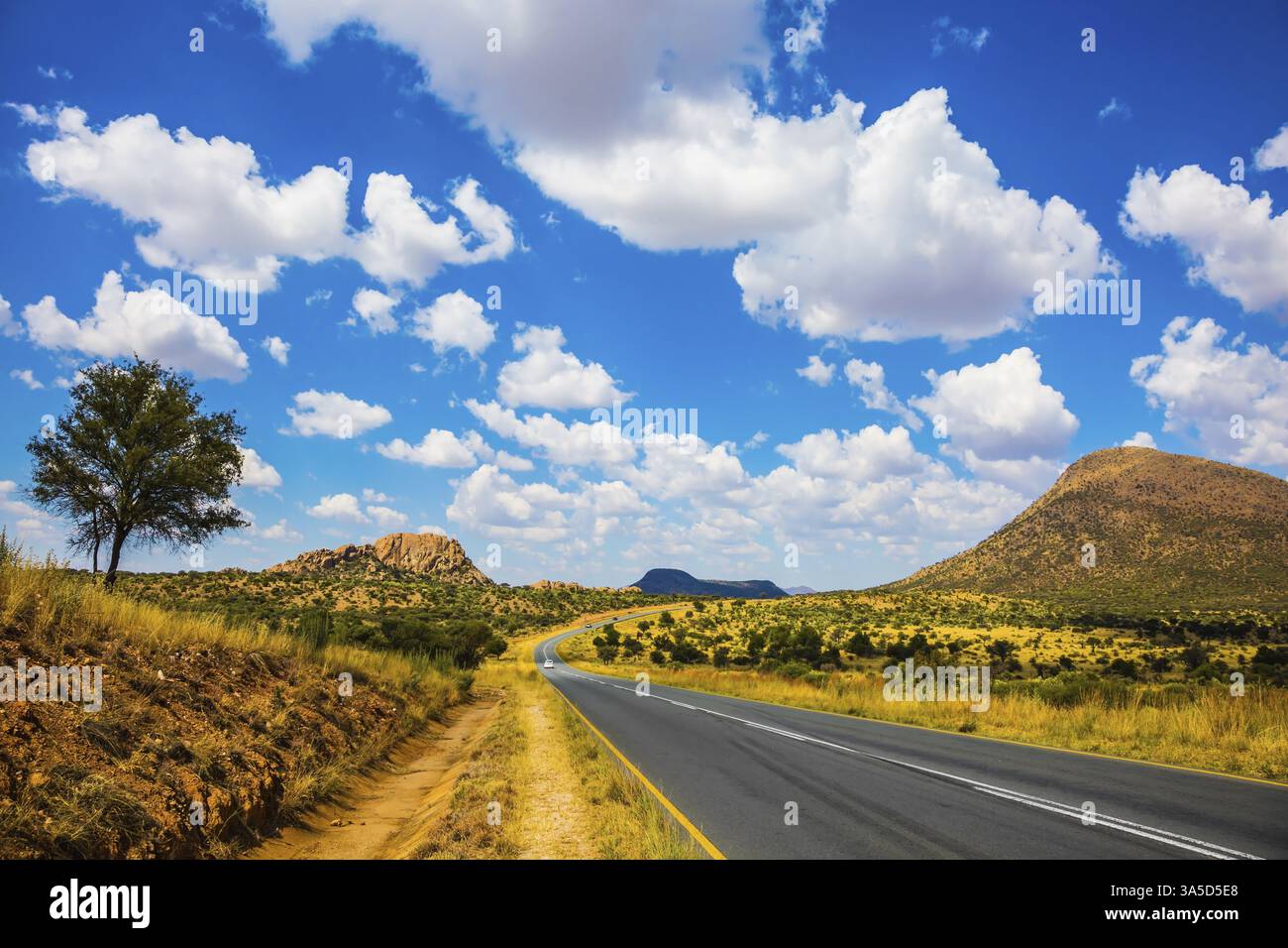 The good asphalt highway in Namibia. Low trees and autumn yellow grass ...