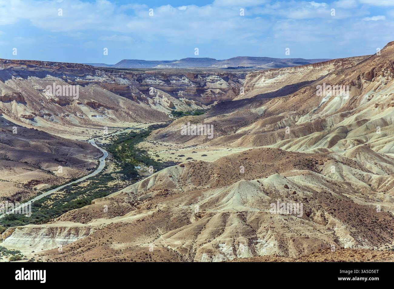 Wonderful spring in Israel. Gorge and desert canyon Ein Avdat ...