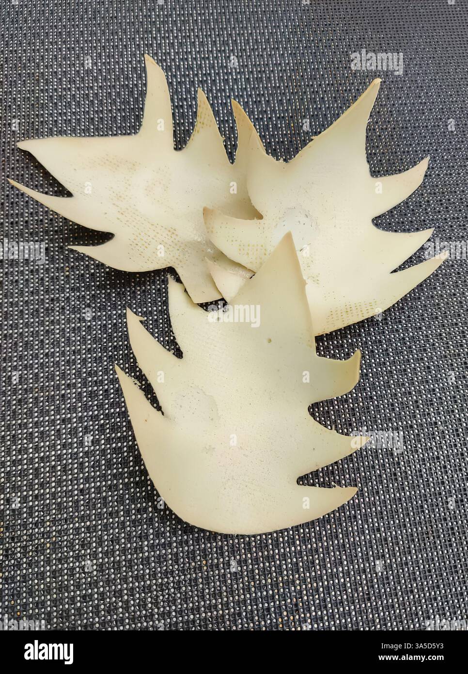 Unique bakery cutouts crafted from dough, showcasing artistic shapes ...