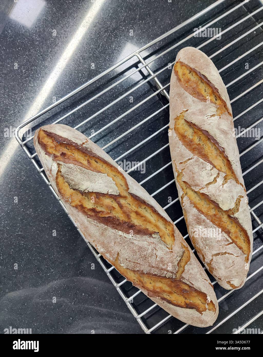 Two golden-brown rustic bread loaves are cooling on a wire rack in a ...