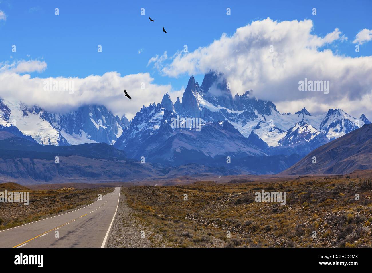 Over the road flying flock of Andean condors. The highway crosses the ...
