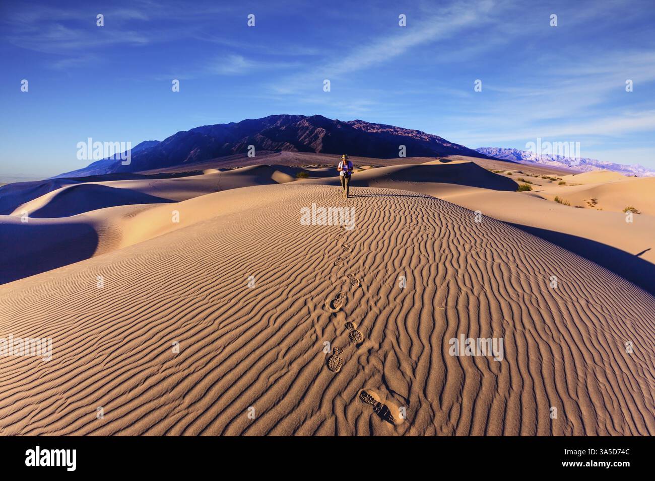 Sunrise in the orange sands of the desert Mesquite Flat, USA. Woman ...