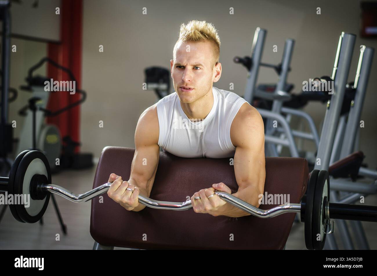 Handsome young man training biceps lifting barbell on bench in a gym ...