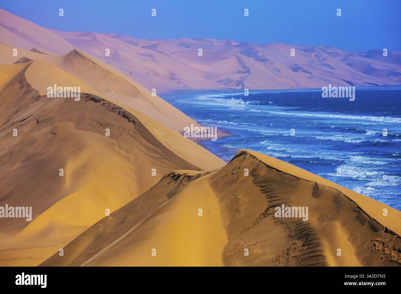 The west coast of the Atlantic Ocean. Giant moving sand dunes. Sandwich ...