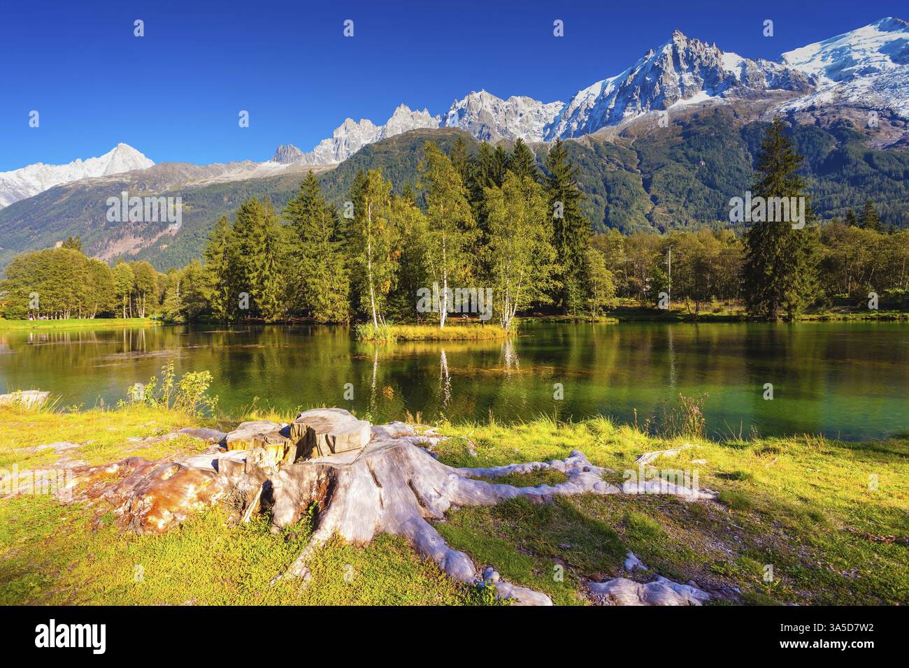 The mountain resort of Chamonix, Haute-Savoie. City Park is illuminated ...