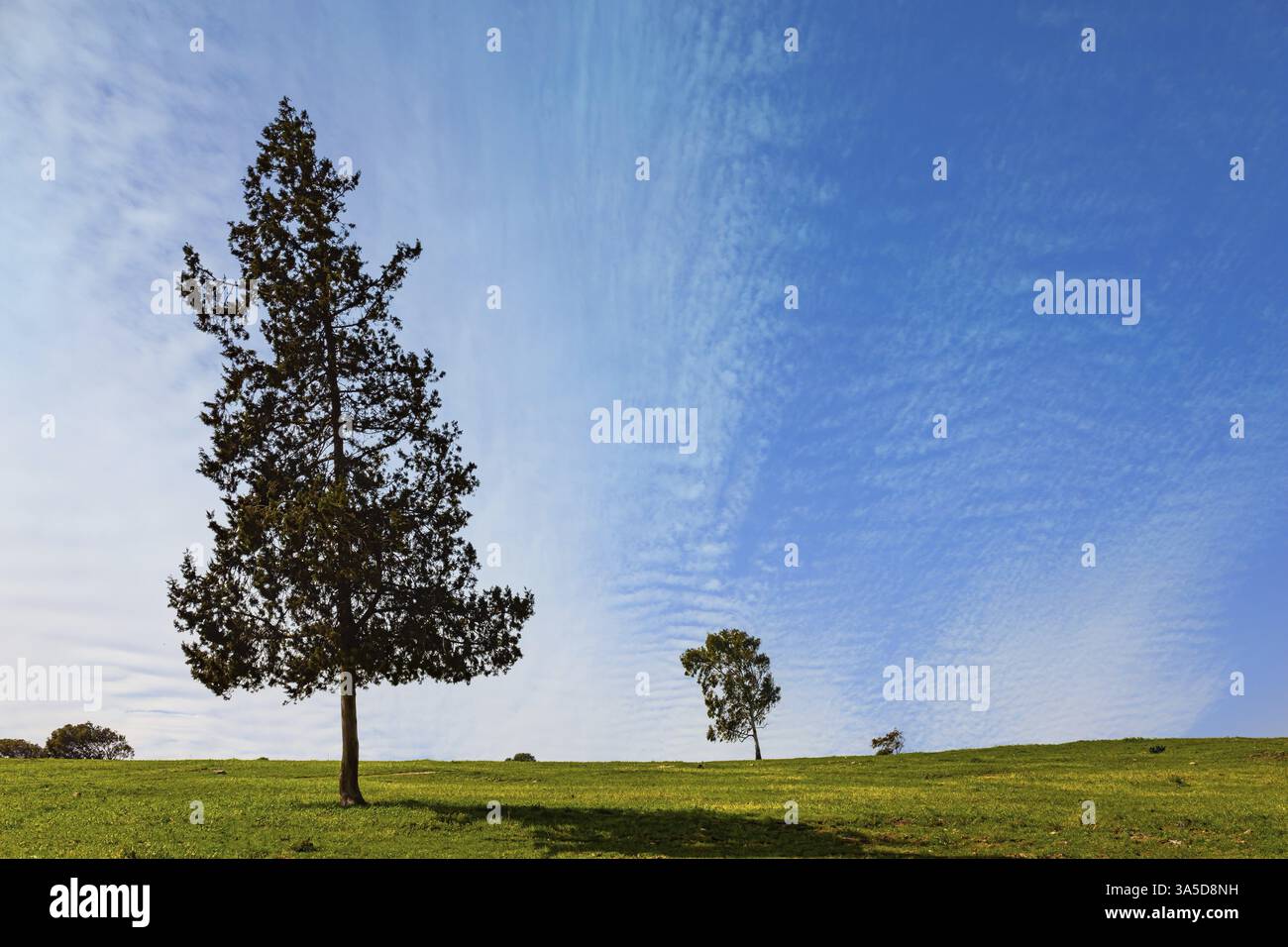 Israel. Spring festival in Kibbutz Beeri on the border with the Gaza ...