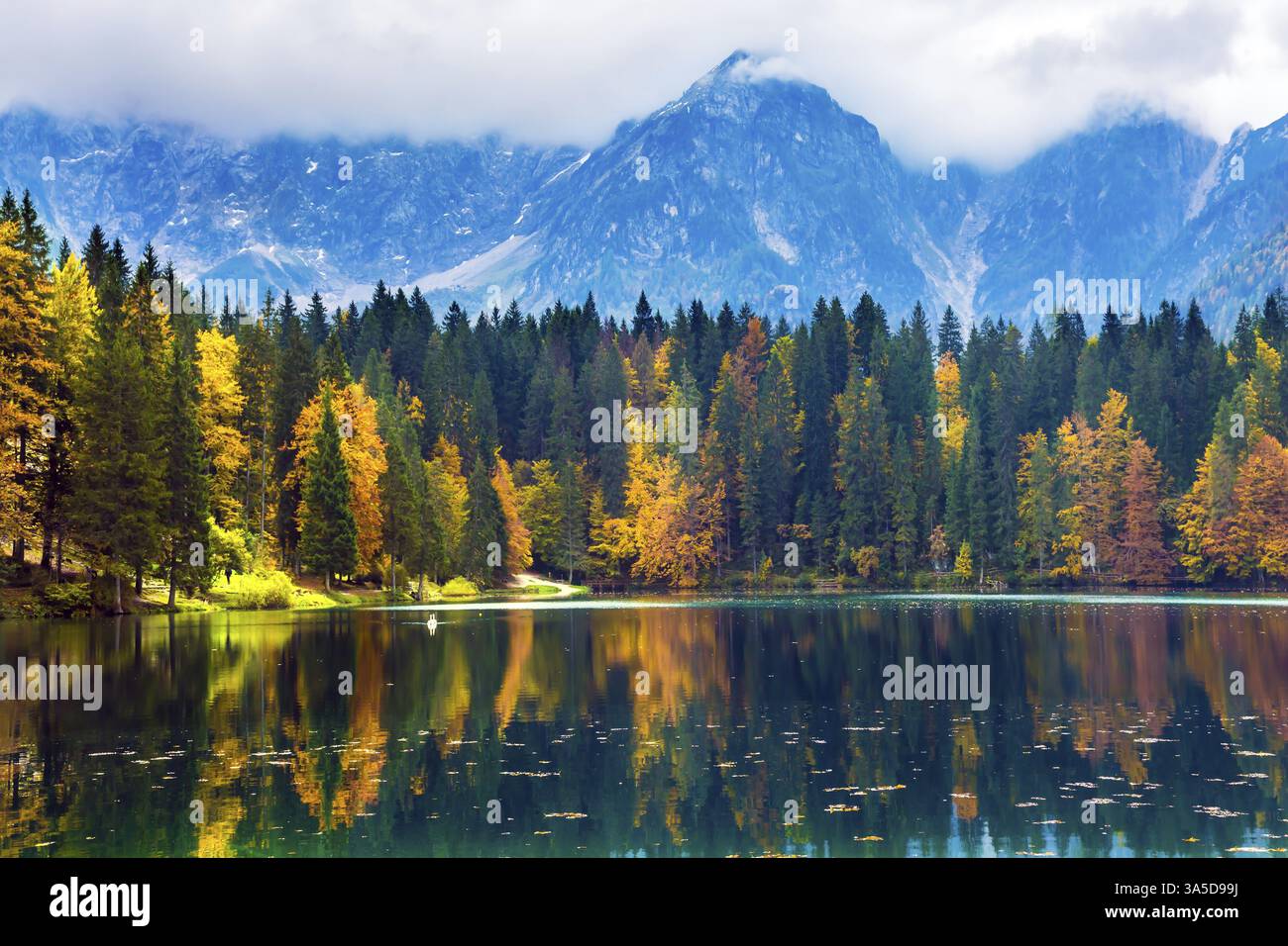 The reflections of multicolored forests in the lake. The quiet lake in ...
