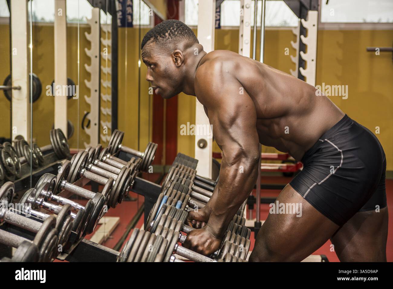 Handsome black male bodybuilder resting after workout in gym, leaning ...