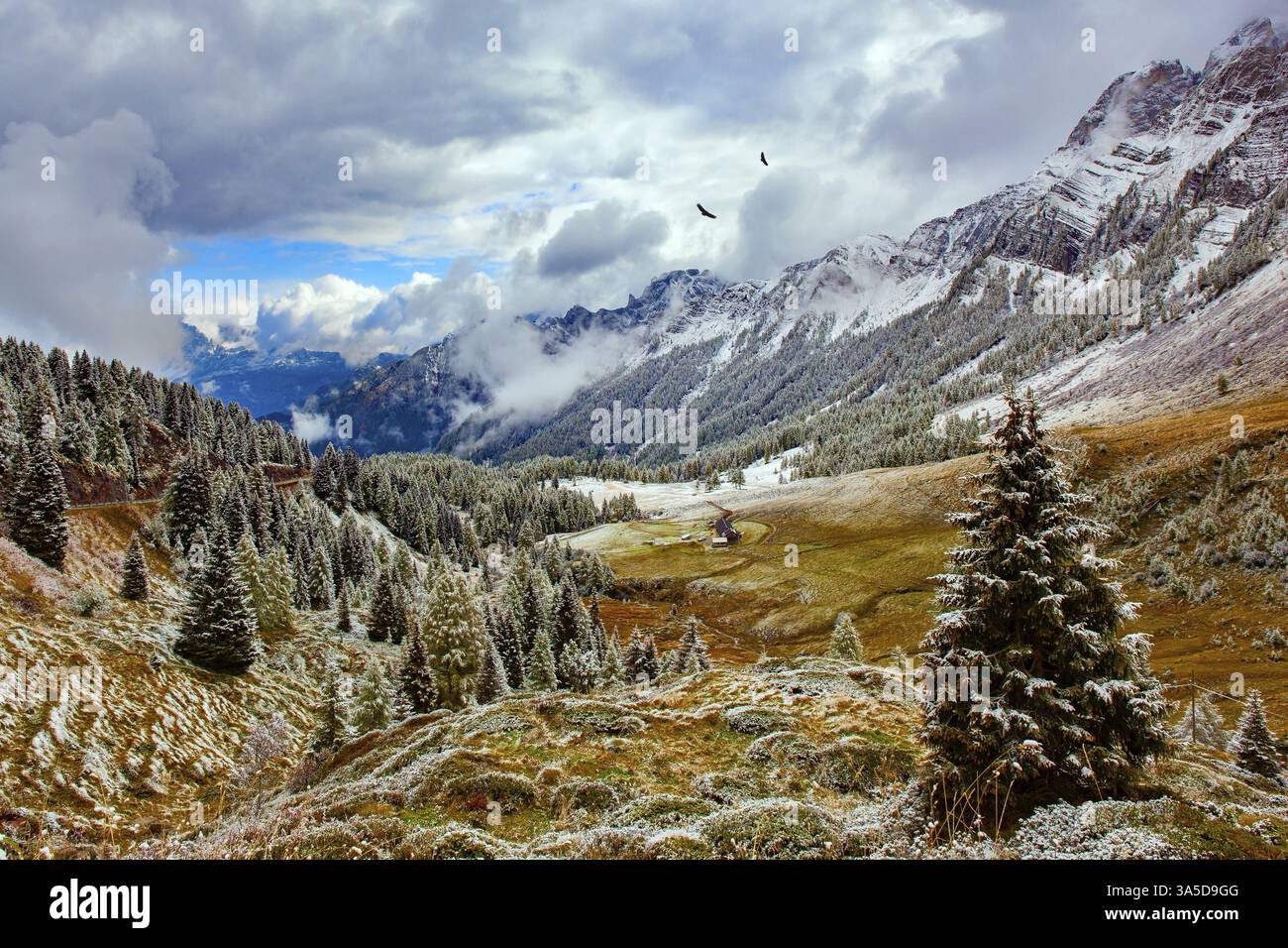 Magnificent wide valley in the Italian Alps. The picturesque pass in ...