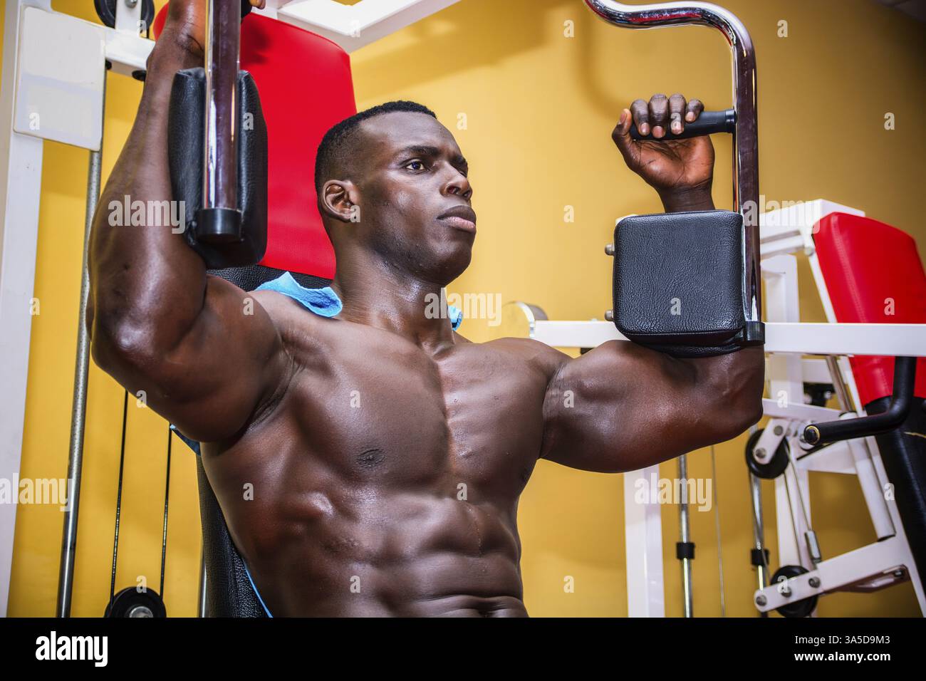 Hunky muscular black bodybuilder working out in gym, exercising pecs on ...