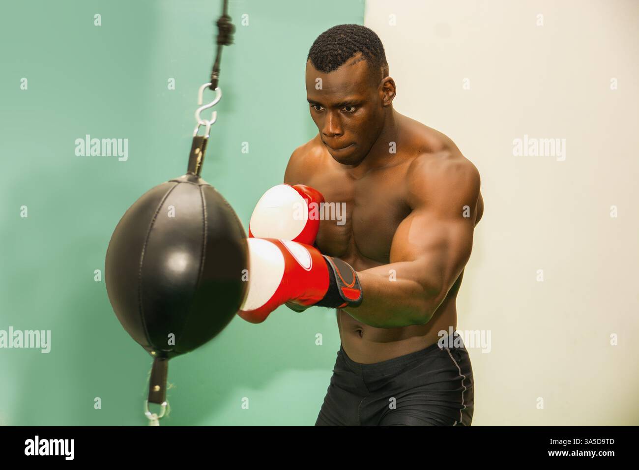 African male boxer punching ball wearing boxing gloves, back profile ...