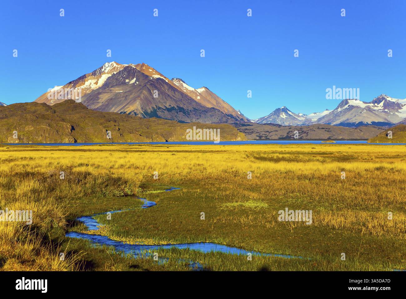 The yellow grass field with streams from underground sources. Trip to ...