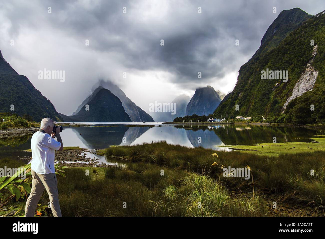 New Zealand. The famous ocean fjord Milford Sound. The gray-haired ...