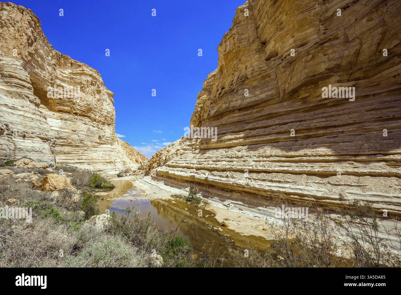 The magnificent gorge Ein Avdat is the most beautiful in the Negev ...