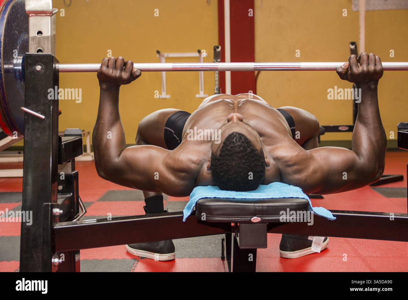 Hunky muscular black bodybuilder working out in gym, exercising pecs on ...