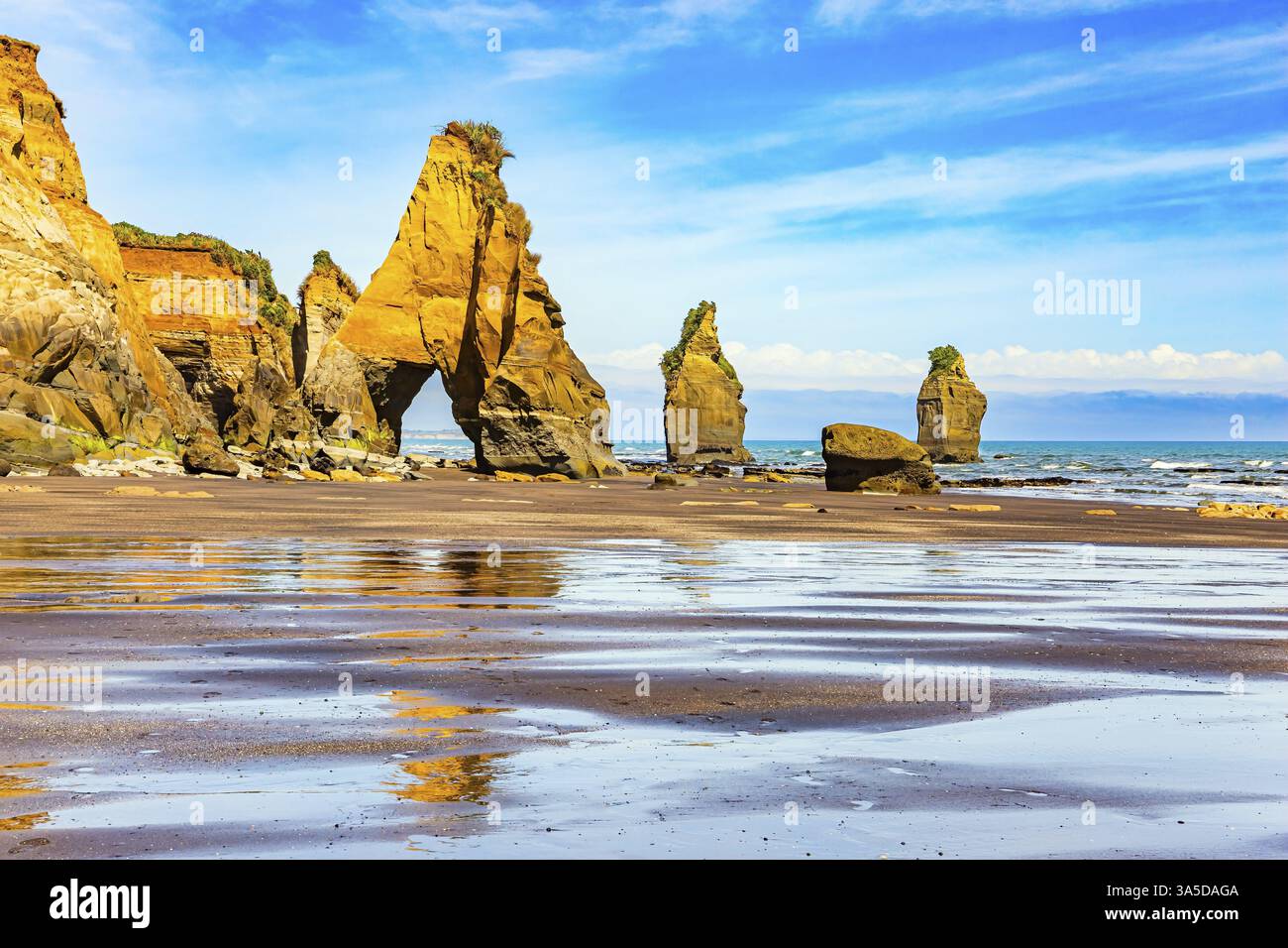 The Tongaporutu beach on the Pacific coast. New Zealand. North Island ...