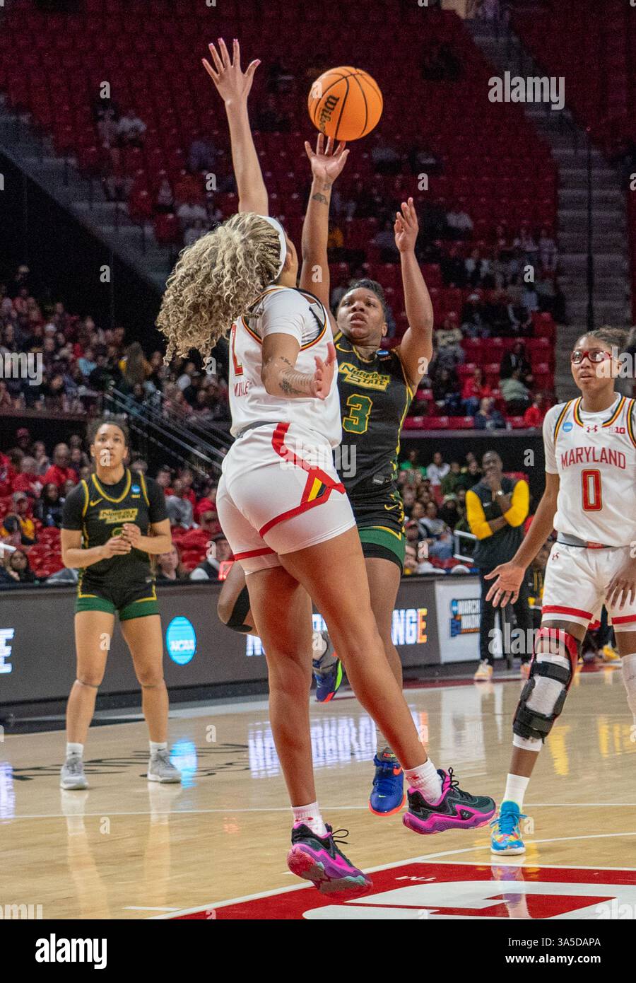 COLLEGE PARK, MD- MARCH 22: Norfolk State Spartans guard Diamond ...
