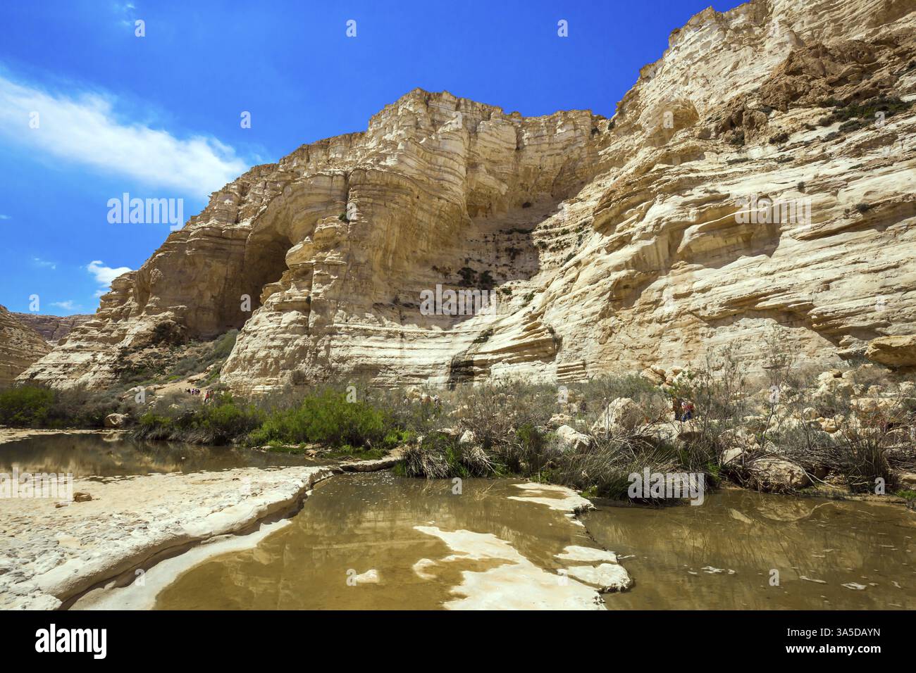 The walls of the gorge are corroded by caves. Start route. Israel. The ...