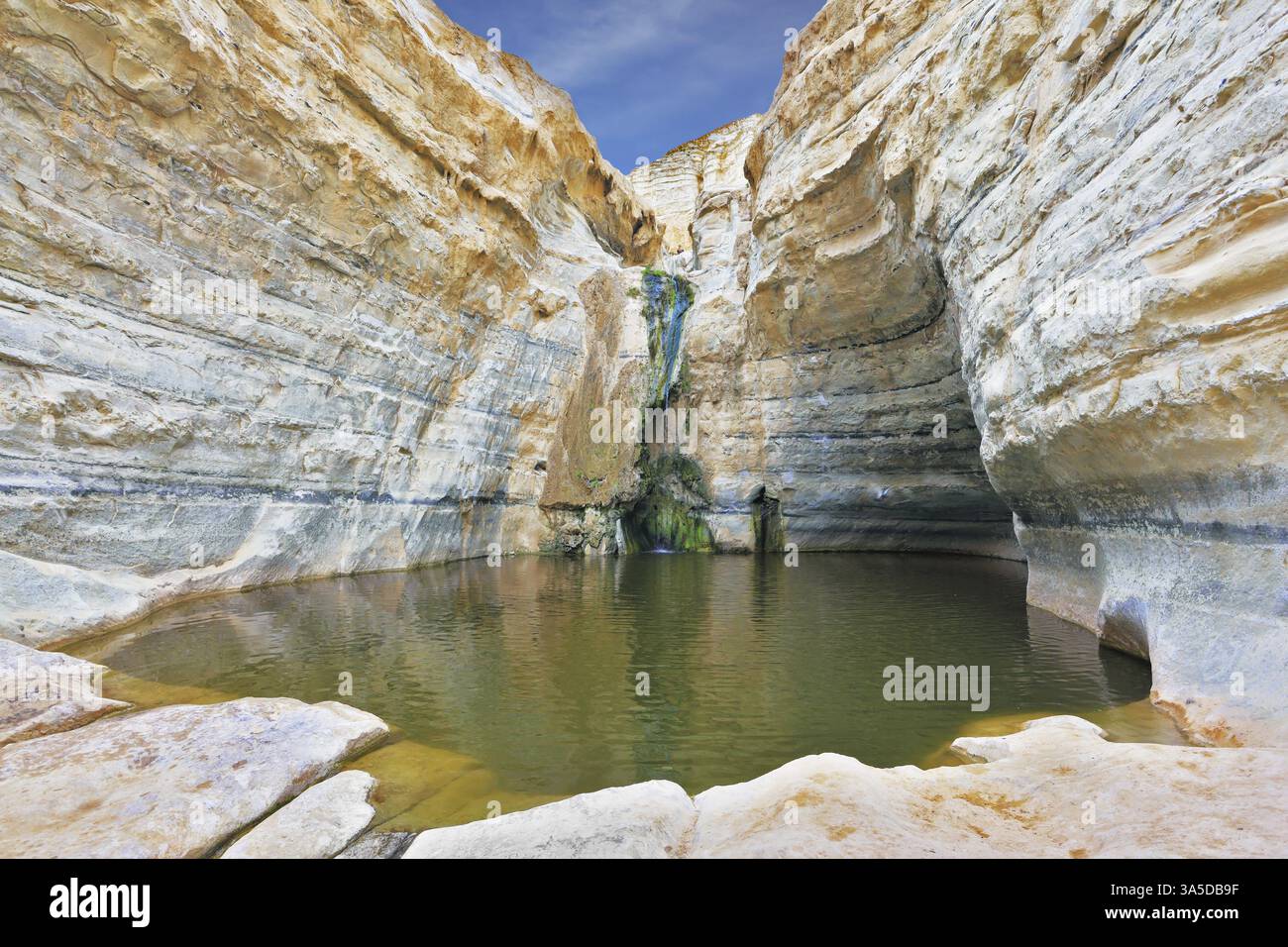 Canyon Ein Avdat in Israel. Sandstone canyon walls form a round bowl ...