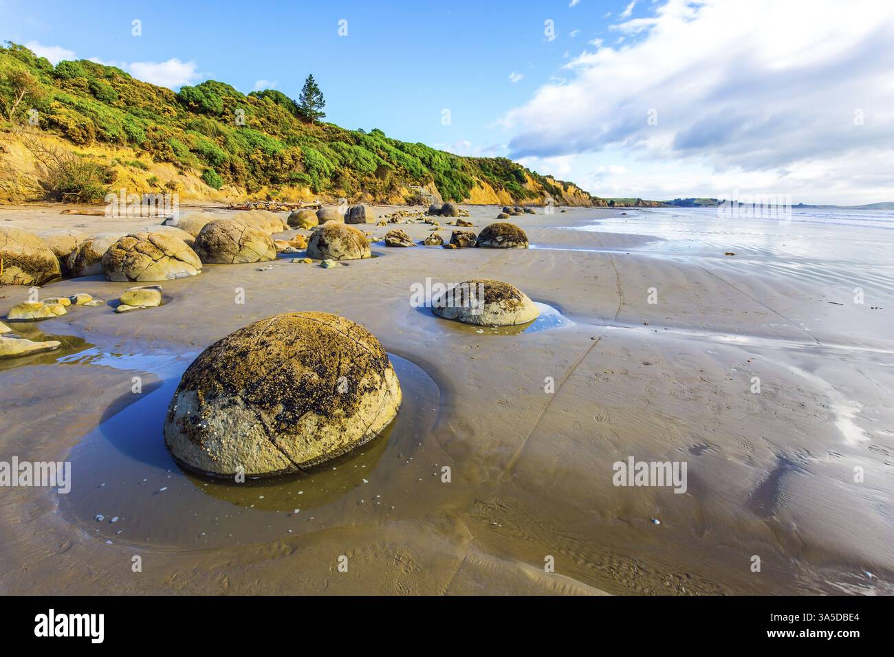 The South Island of New Zealand. Sandy beach on the Pacific Ocean. Moeraki boulders is a group ...